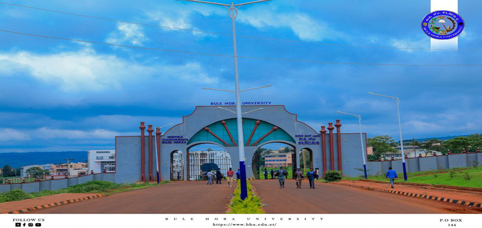 Bule Hora University